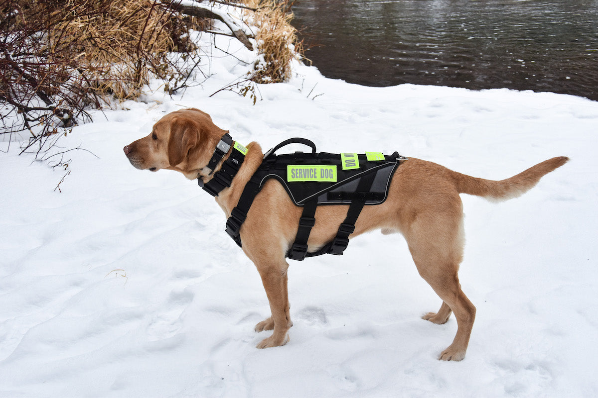 grunt gear bundle – 14er Tactical